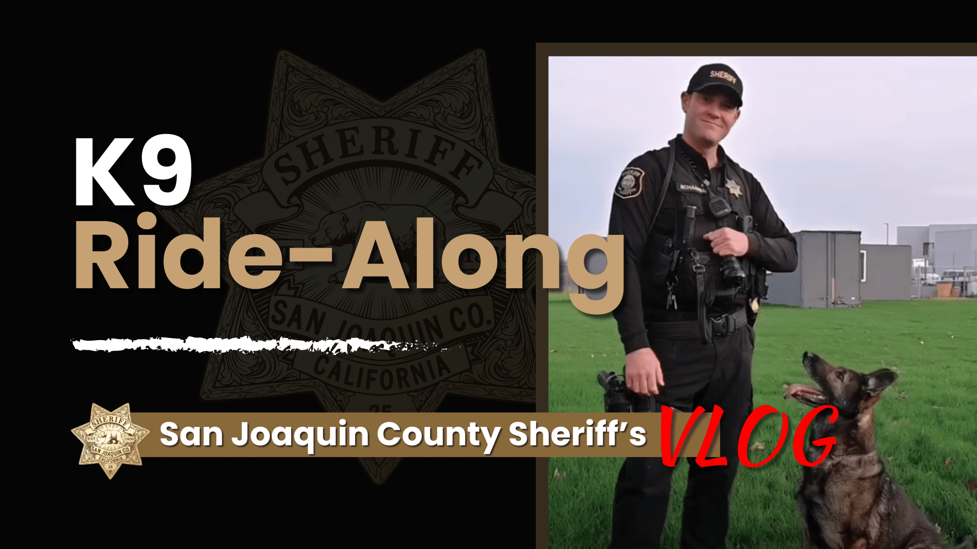 Virtual Ride-Along with San Joaquin County Sheriff K-9 | San Joaquin ...